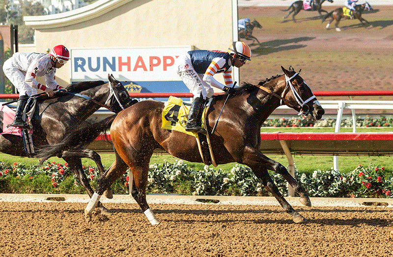 LRF Stable - Little Red Feather