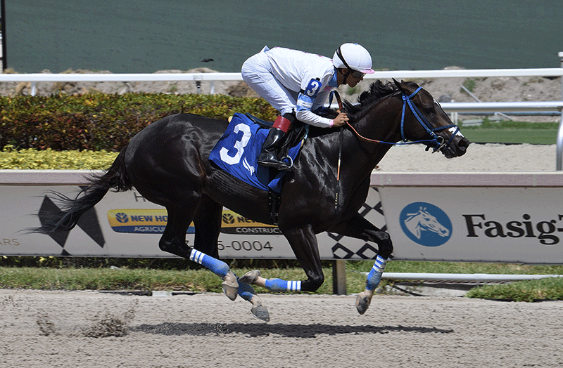 LRF Stable - Little Red Feather