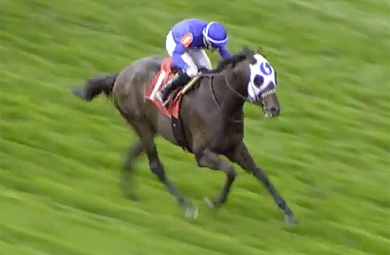 LRF Stable | Little Red Feather Racing Stable